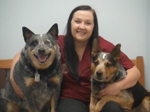 Meet Our Team